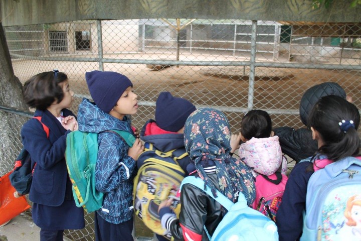 Educational Trips – Apex Education System